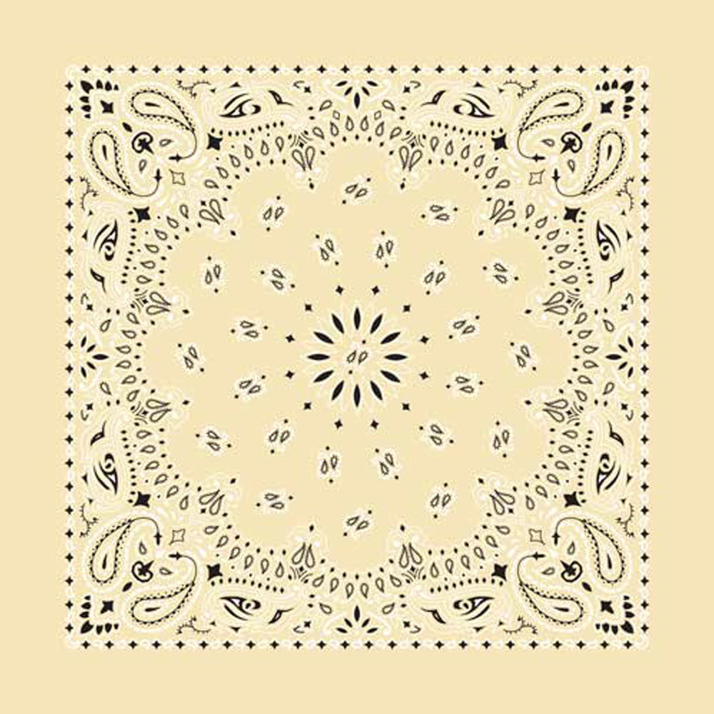 Western Bandanas – Page 2 – Rockmount